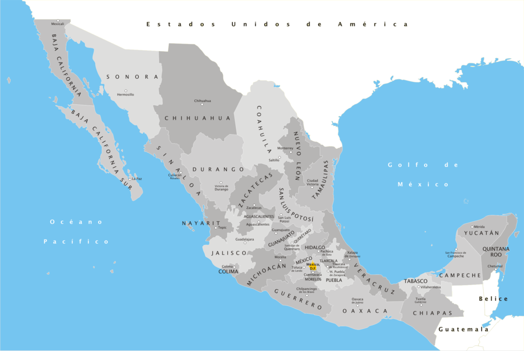 Mexico is moving towards a very special-ty coffee future – Caffèlab ...