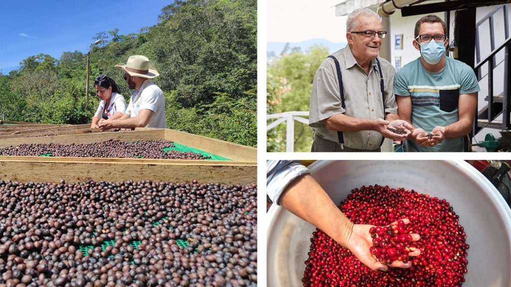 Coffee from Ecuador, a high quality future! – Caffèlab Magazine