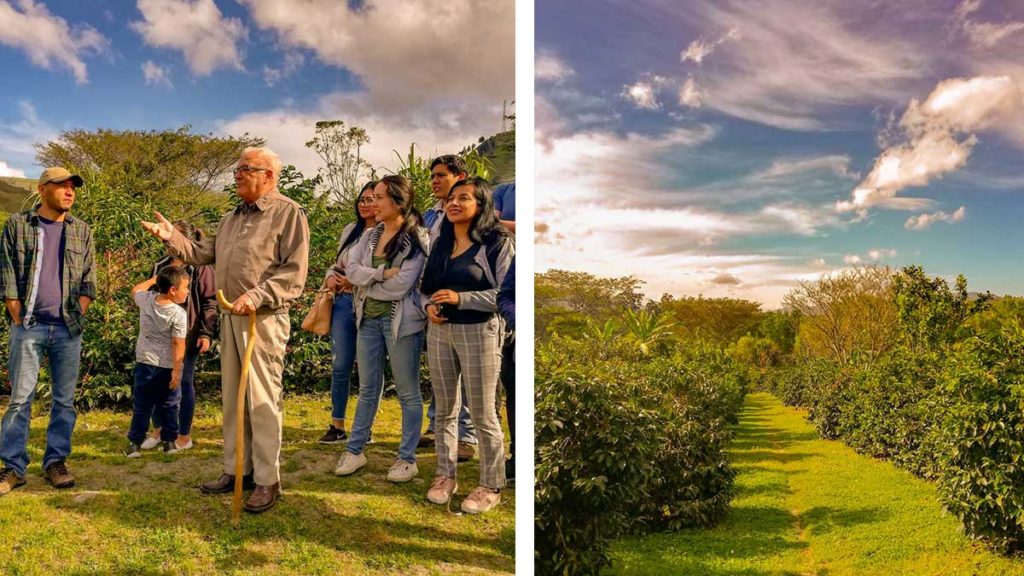 Coffee from Ecuador, a high quality future! – Caffèlab Magazine
