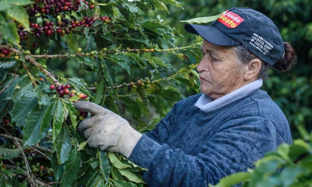 The new frontiers of coffee processing: fermentation with fruits ...